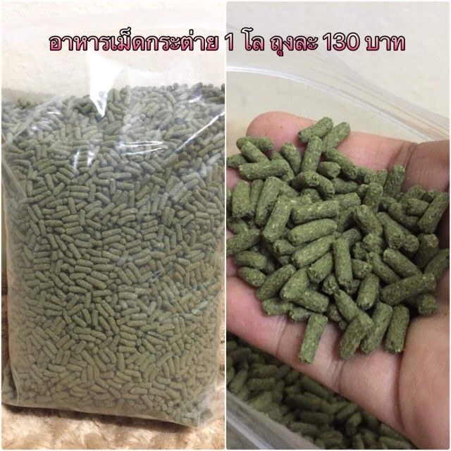 Gobi King Rabbit Food 1 Kg. | Shopee Malaysia