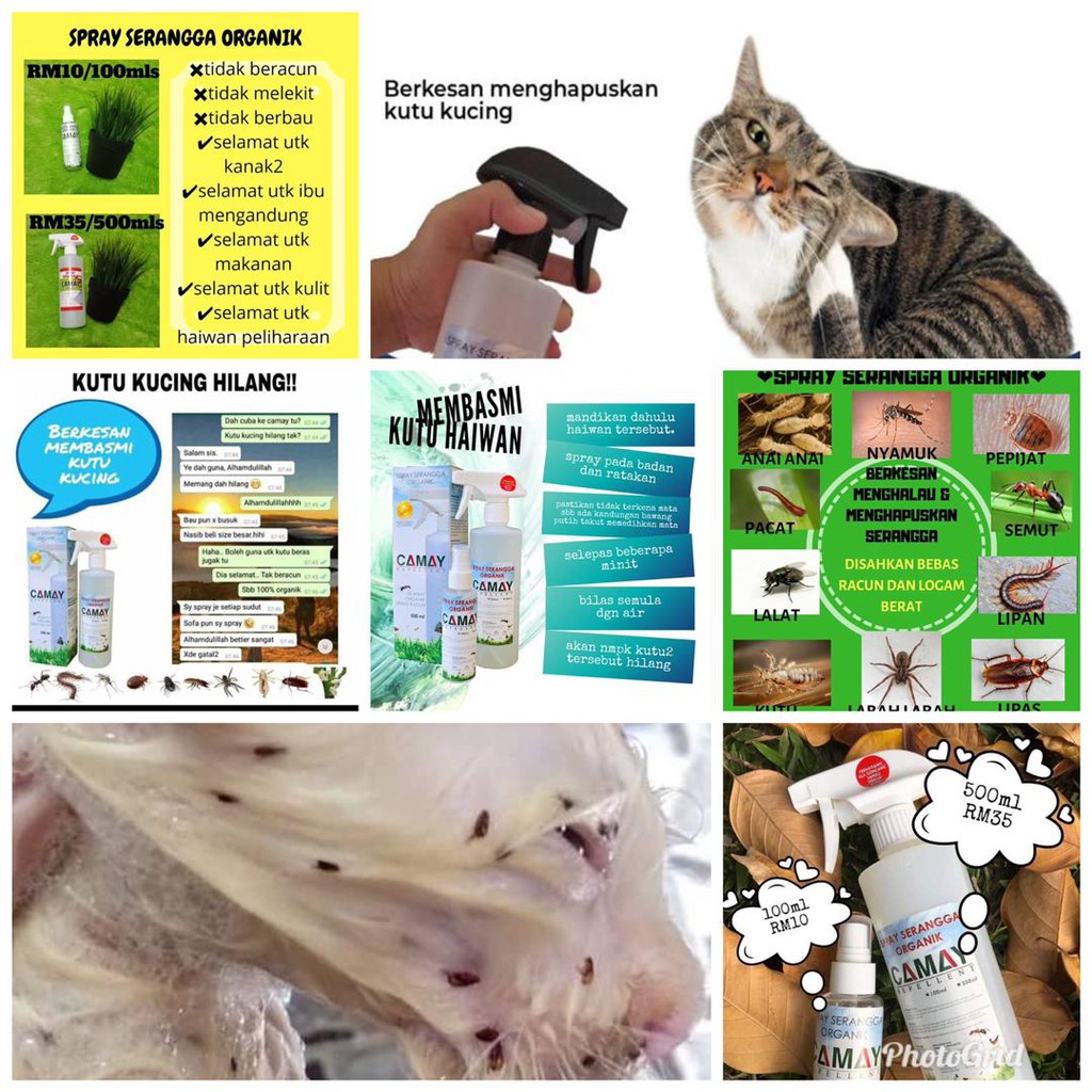 CAMAY SPRAY - Spray merawat kutu kucing organik. | Shopee Malaysia