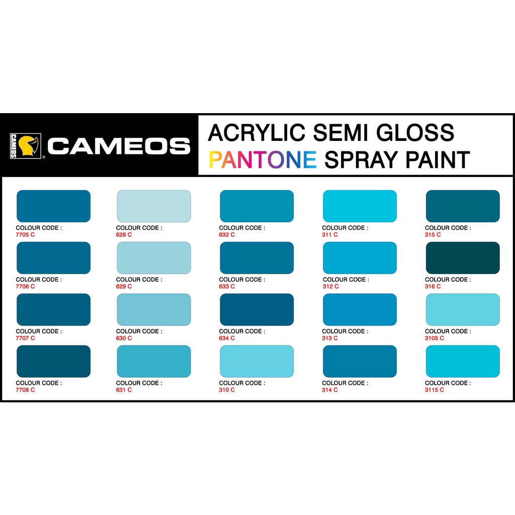 PANTONE Color P40 - Aerosol Spray Paint - CAMEOS 400ML/Bottle | Shopee ...