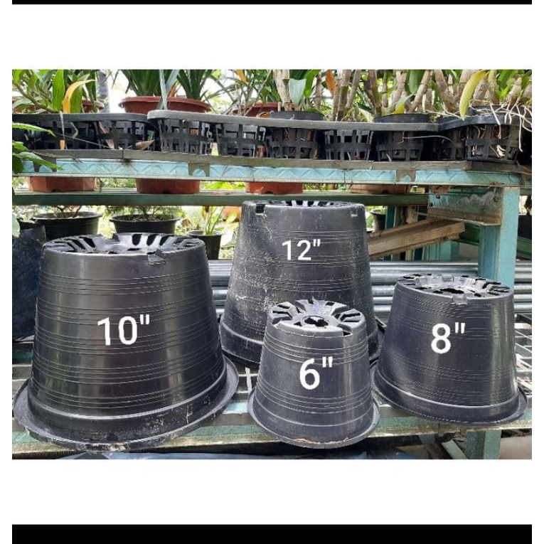 5 biji Pasu plastik hitam. saiz 6,8,10,12 inch. combo 5 pcs. | Shopee ...