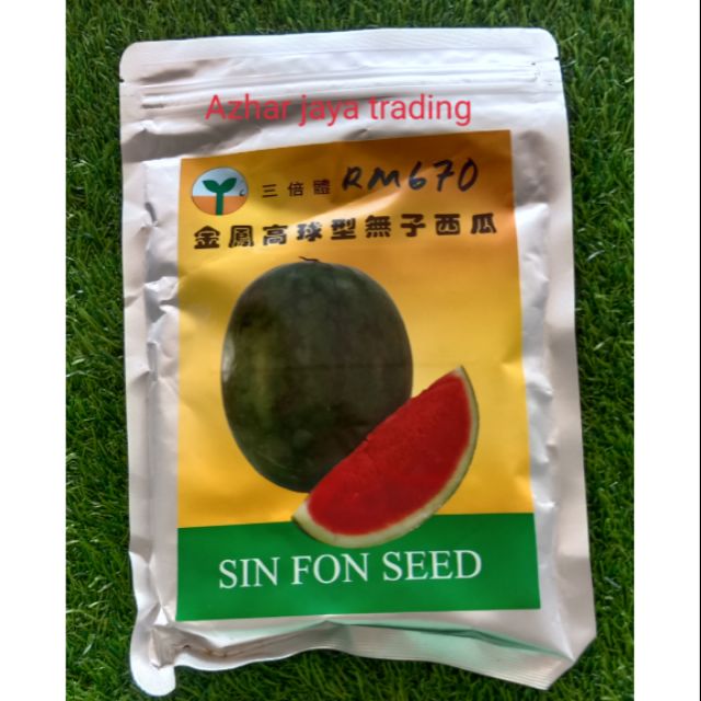 Benih tembikai /sin fon seed/tanpa biji/200g | Shopee Malaysia