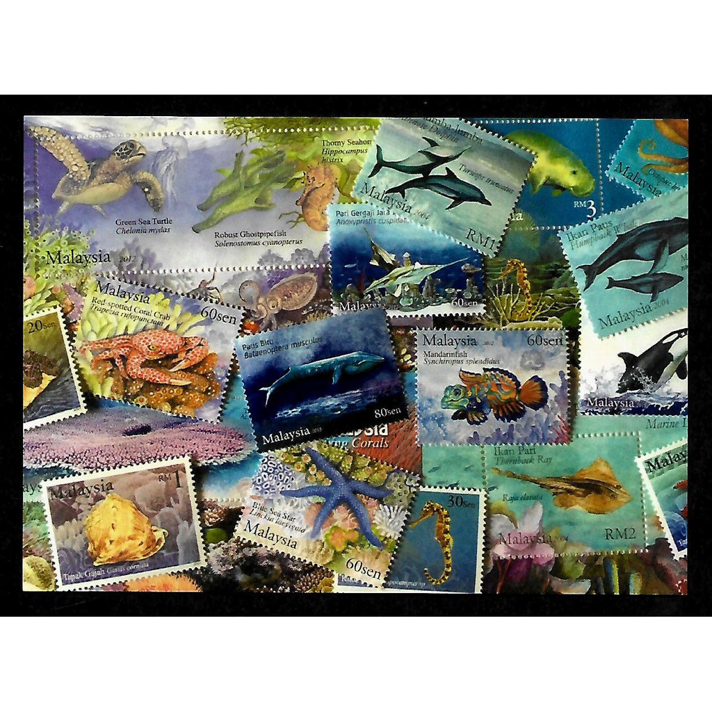 Malaysia Postcard - Marine Life Stamp | Shopee Malaysia