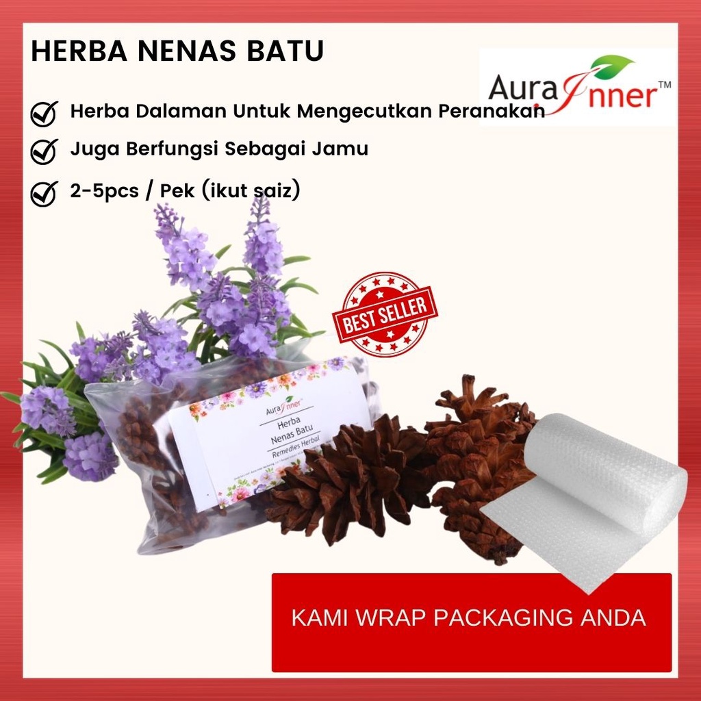 Nenas Batu Untuk Pulih Luka Dalaman | Kecutkan Rahim Aura Inner ...