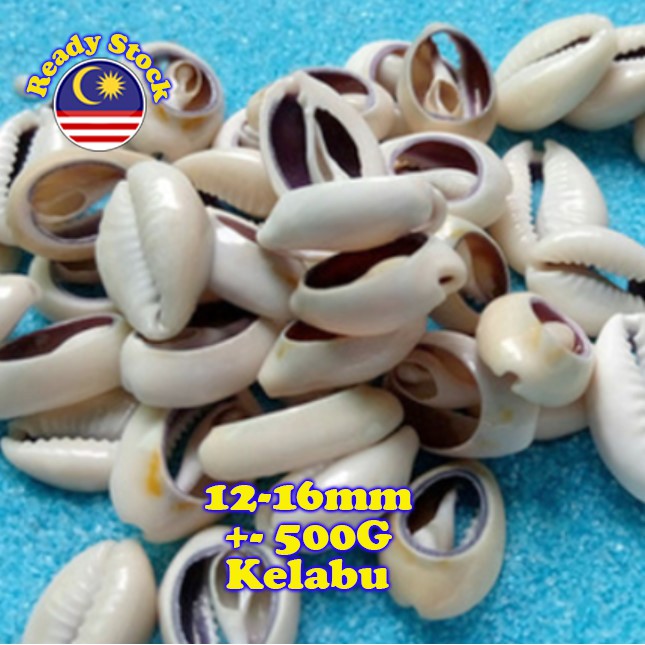 JA2326 Natural Shell Seashell Bead 500G 🇲🇾 Burie Kelabu DIY Jewelry ...