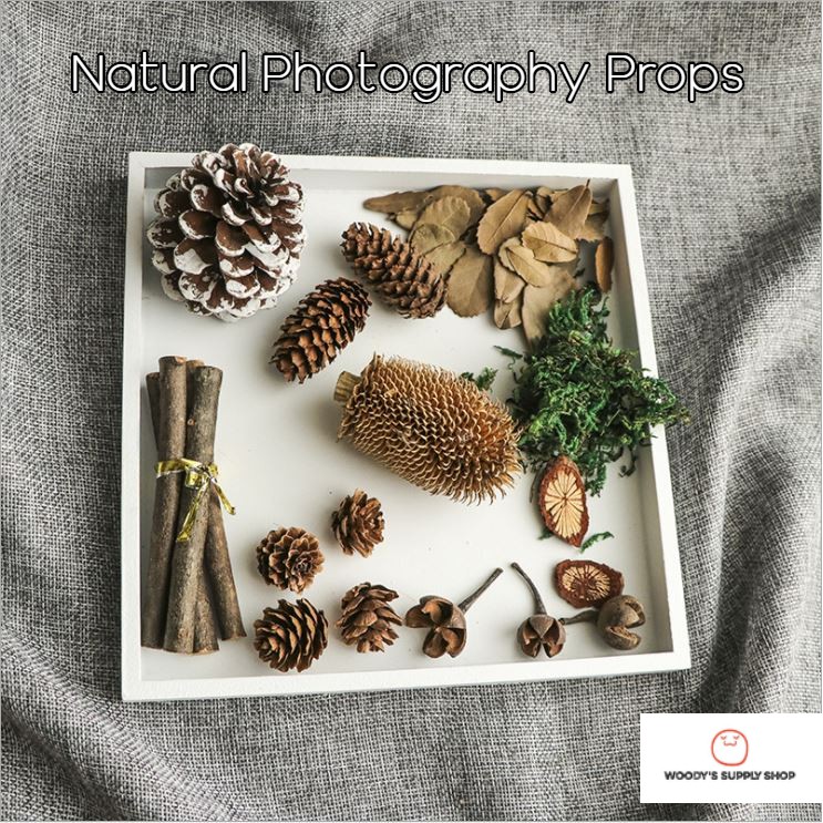 Natural Forest Props Set | Christmas Props | Home Decor | Jewelry Props ...