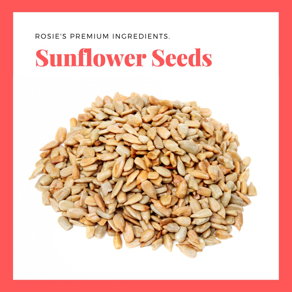 500g/1kg Sunflower seeds | Biji bunga matahari | 葵花籽 | Halal Keto ...