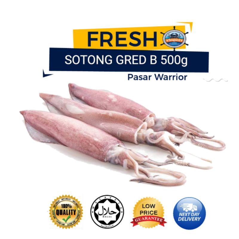 Sotong Fresh Gred B 500g Dijamin Sotong Segar | Shopee Malaysia