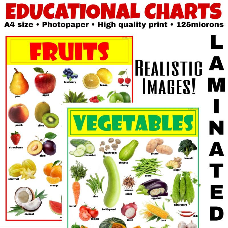Fruits & Vegetables Educational Chart for kids A4 Size Laminated ...
