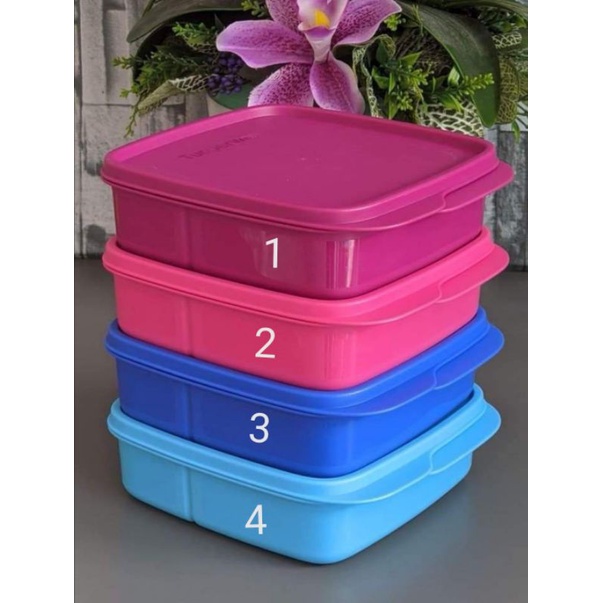 SET BEKAL KANAK KANAK TUPPERWARE | Shopee Malaysia