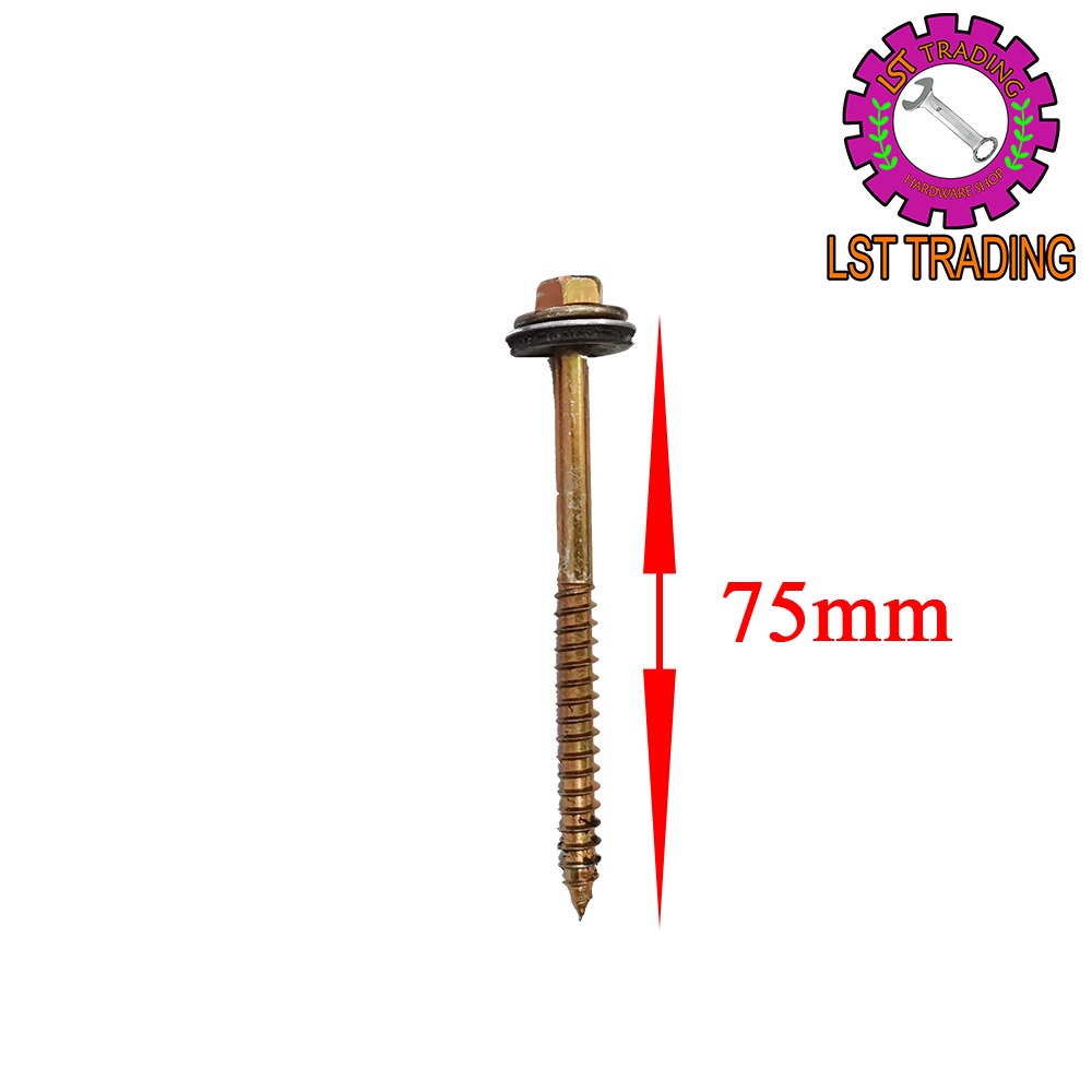 [READY STOCKS] HEX HEAD SELF TAPPING SCREW (RM 1) / SKREW KEPALA LAPAN ...