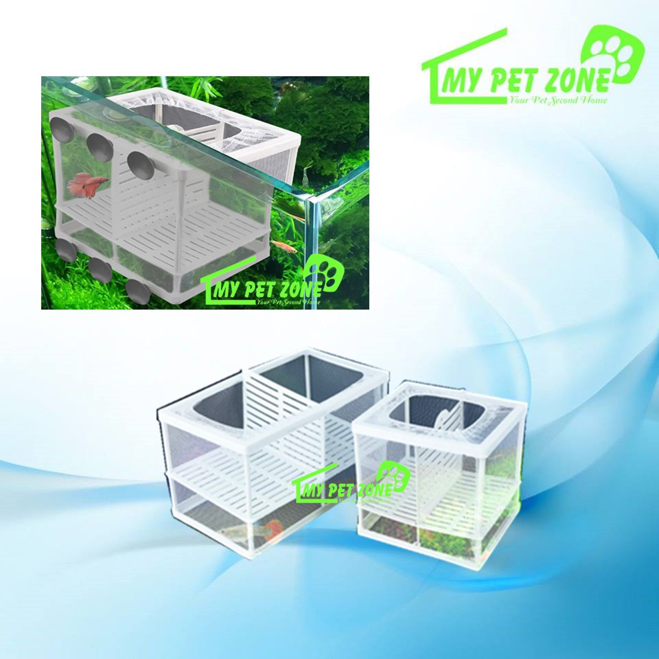 Titi Aquarium Separation Net With Seperator / Fish Breeding Net Box ...