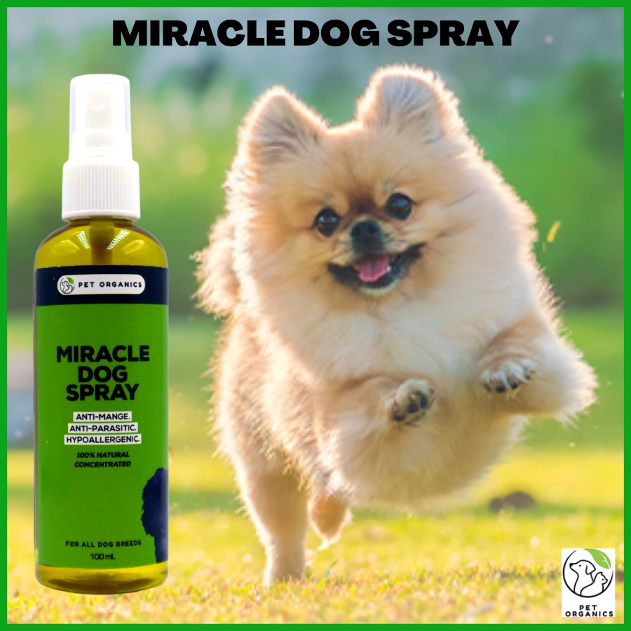 (FOR ALL DOG BREEDS)Legit100% Miracle Dog Spray Best for Anti-Mange ...