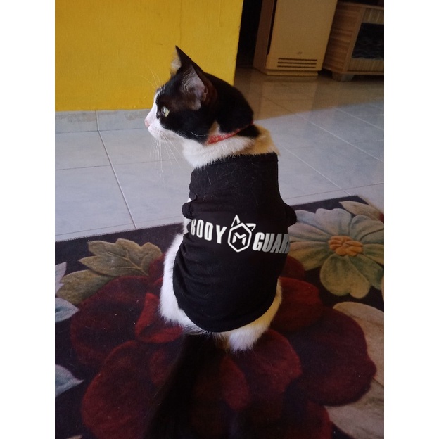 Baju Raya Kucing Gemok Comel 2022 Ready Stock Malaysia Pakaian Haiwan ...