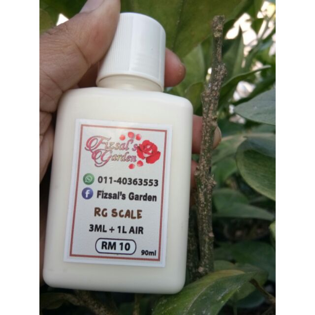 RG SCALE Teritip (Versi 1) : ros adenium kemboja orkid tin keladi vinca ...