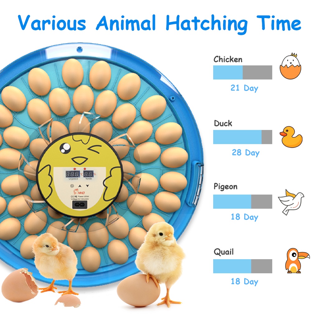 Egg Incubator Hatching Chicks Fully Automatic Poultry Hatching Machine ...