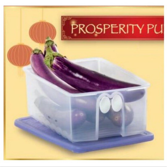 Tupperware Fridgesmart Medium 1.6L (1pc) | Shopee Malaysia