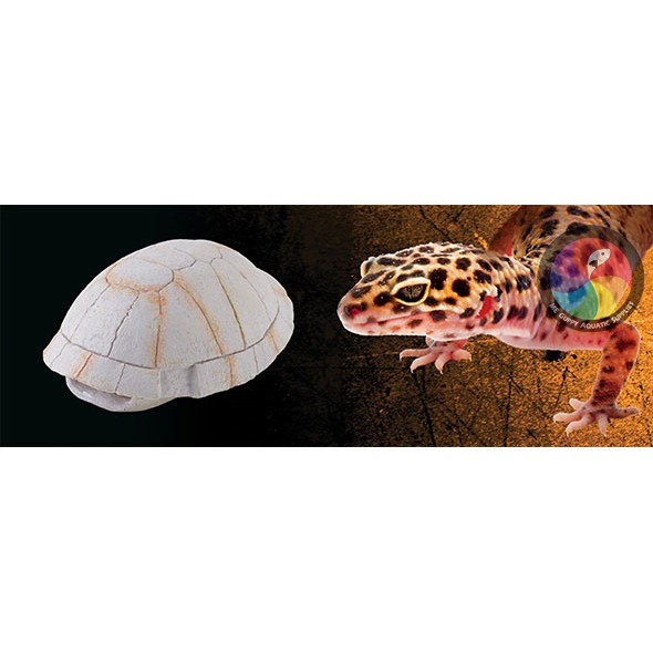 Exo Terra®TORTOISE SKELETON | Shopee Malaysia