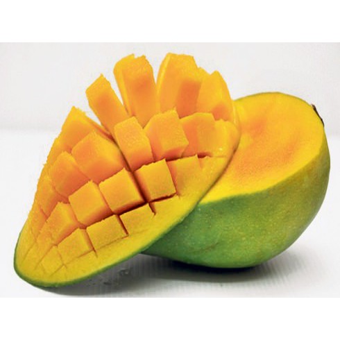 【Live Plant】Pokok Pelam harum manis / Mango harum manis tree/ 芒果树苗 1ft ...