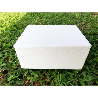 Kabus/Gabus/Styrofoam Box/ Foambox /Good Day Foam/Mini Box/Betta Box ...