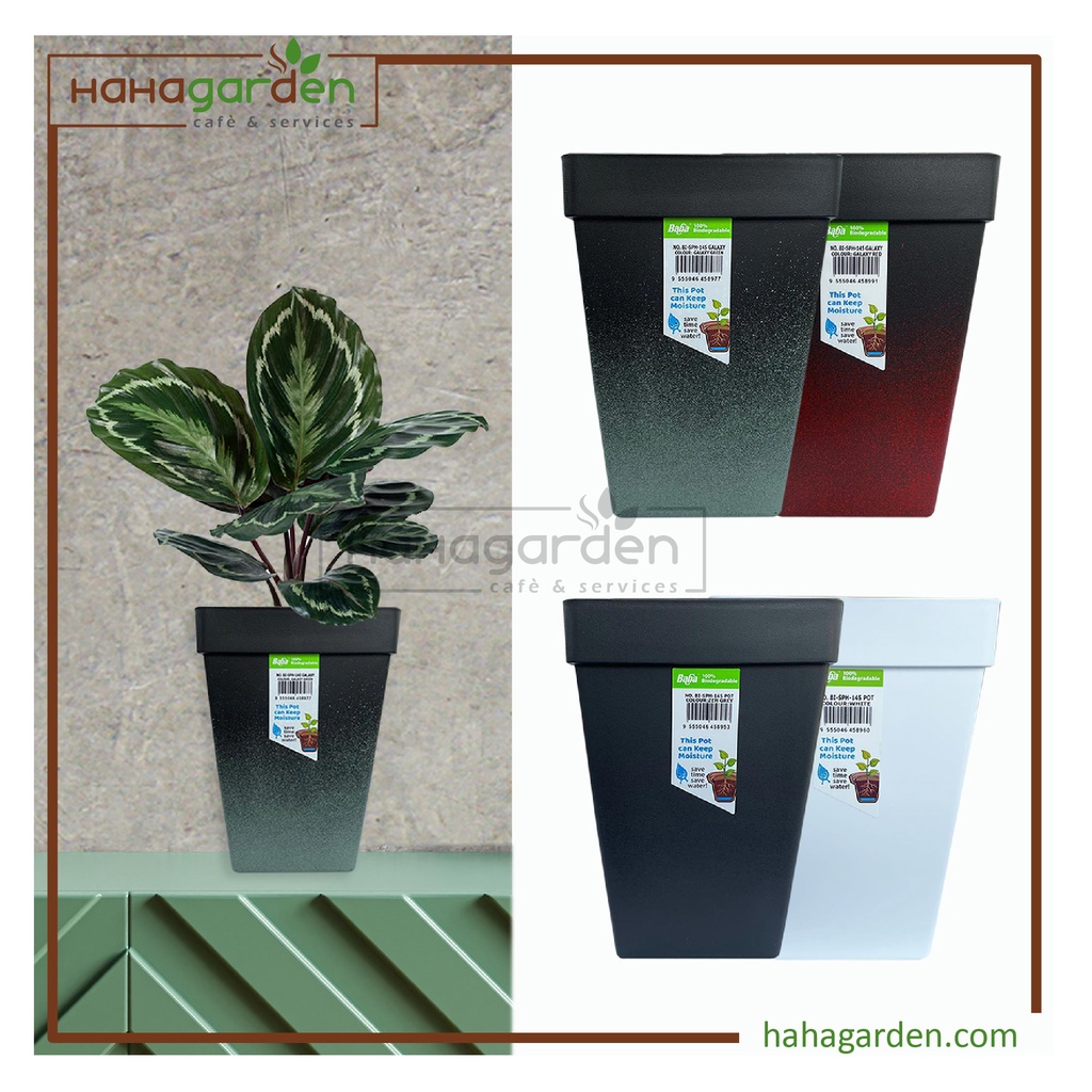 Baba Mini Santorini BI-SPH-145 - Biodegradable Square Flower Pot ...