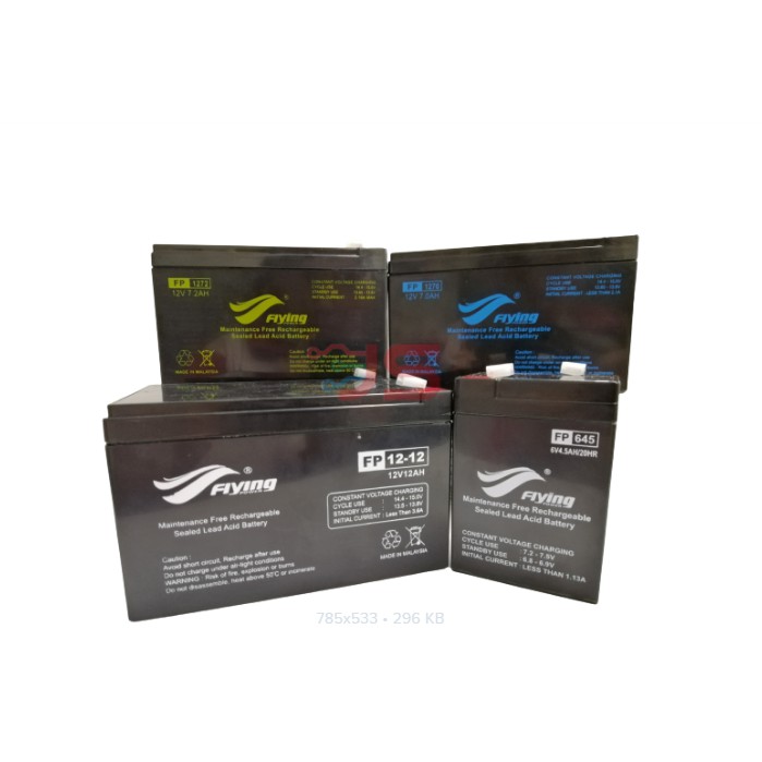 FLYING POWER Sealed Lead Acid Rechargeable Battery | Shopee Malaysia