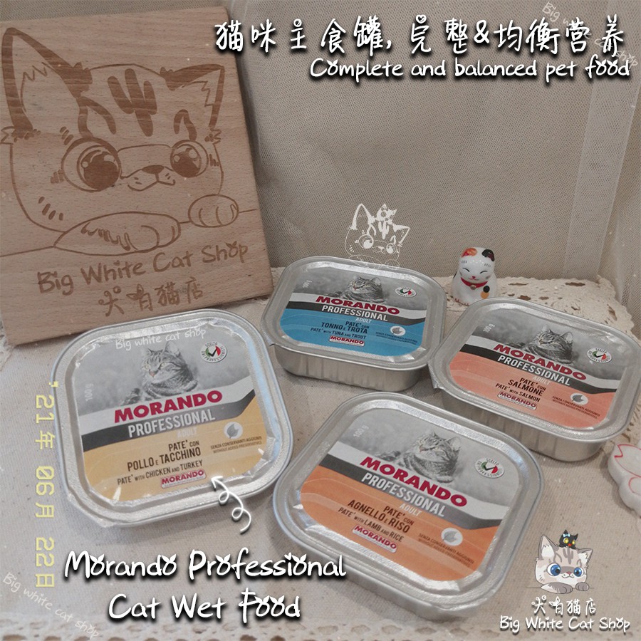 Morando Professional Wet Cat Food 100g Main Course Cat Makanan Kucing ...