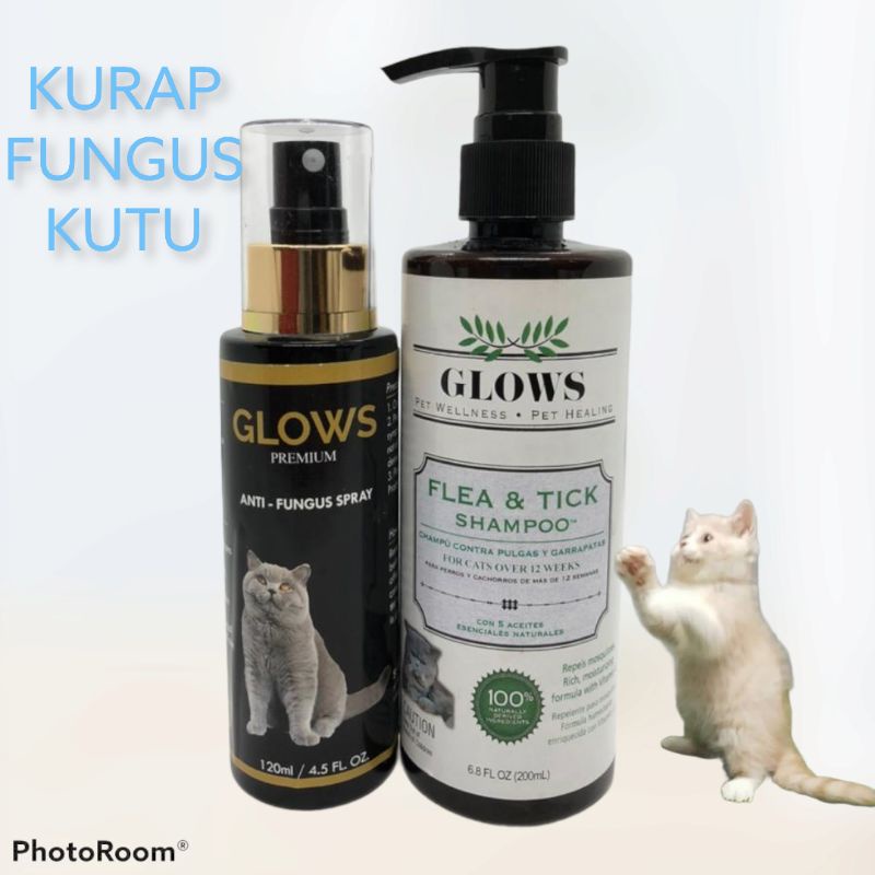 Shampoo dan Spray Fungus set combo 2in1 Good deal for grooming | Shopee ...