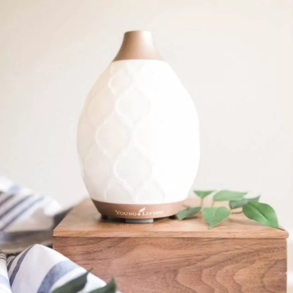 YL Desert Mist Diffuser | Shopee Malaysia