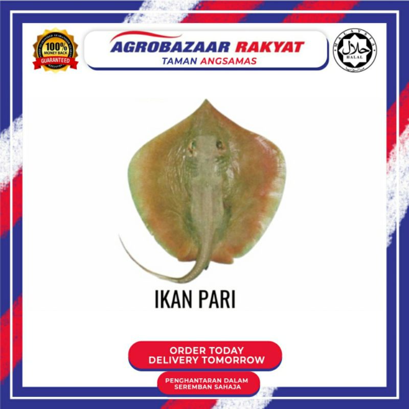 Ikan Pari Laut Segar | Shopee Malaysia