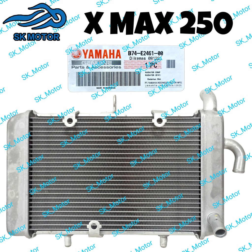 Yamaha X MAX 250 XMAX Original Radiator / Coolant Tank / Tangki Coolant ...