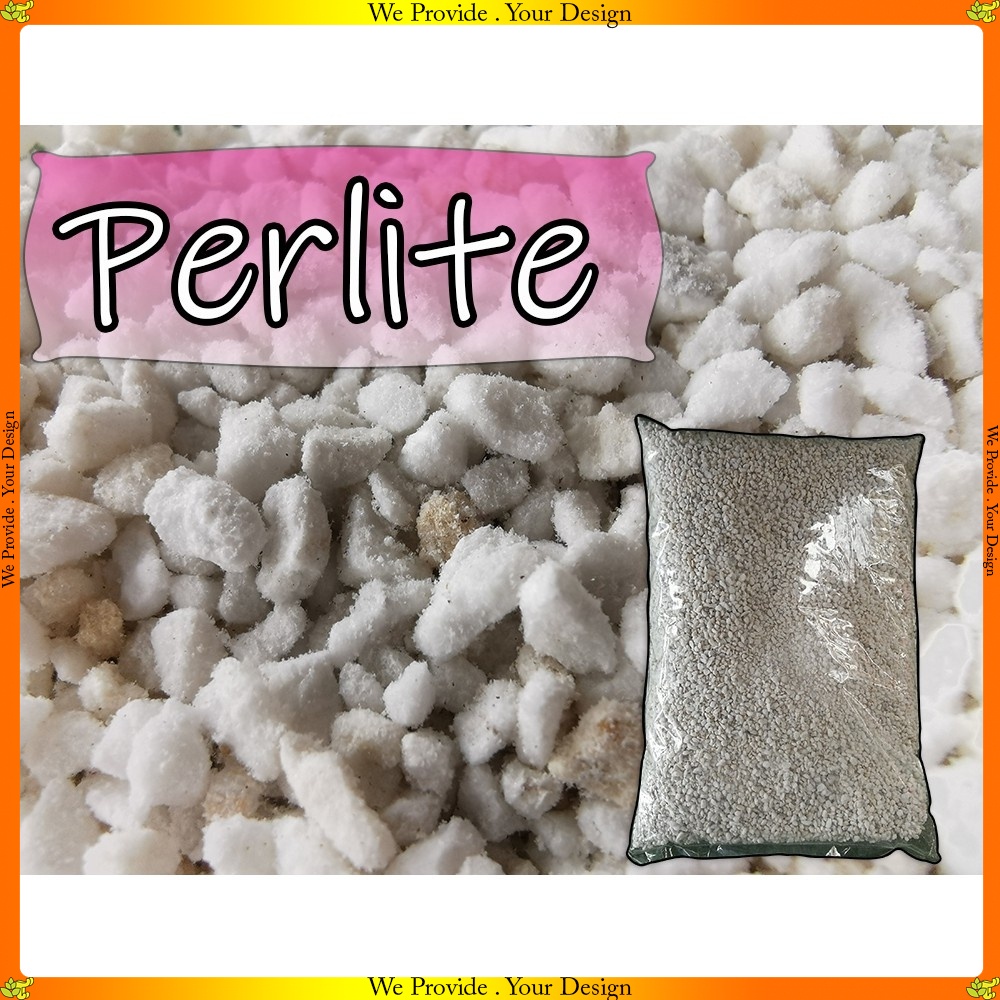 [S7] - Perlite 300g 珍珠岩 For Cactus & Succulents Natural Expanded ...