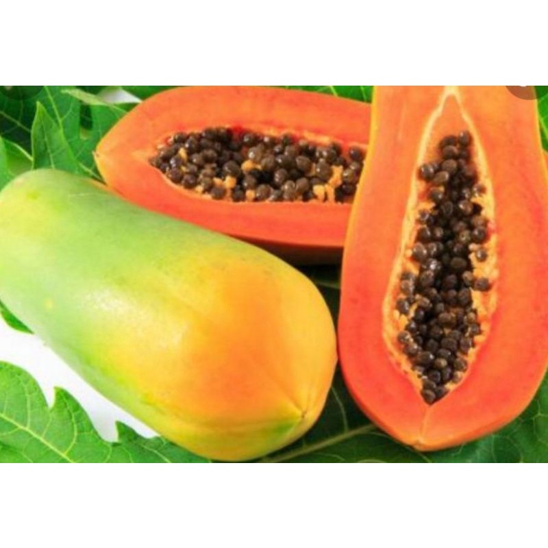 papaya betik 木瓜 fresh from own farm | Shopee Malaysia