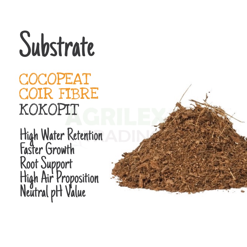 SUBSTRATE | Cocopeat Coir Fibre Kokopit 3L (~1.1kg) | Shopee Malaysia