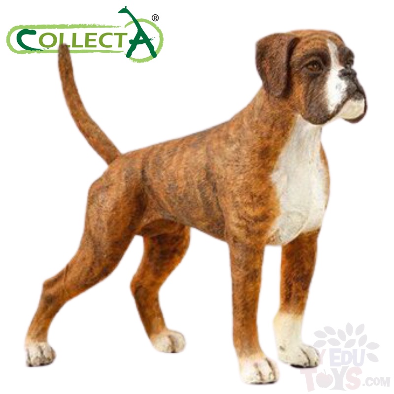 Boxer - Collecta 88936 Dog Pet Animal Action Figures / Toys Figurine ...