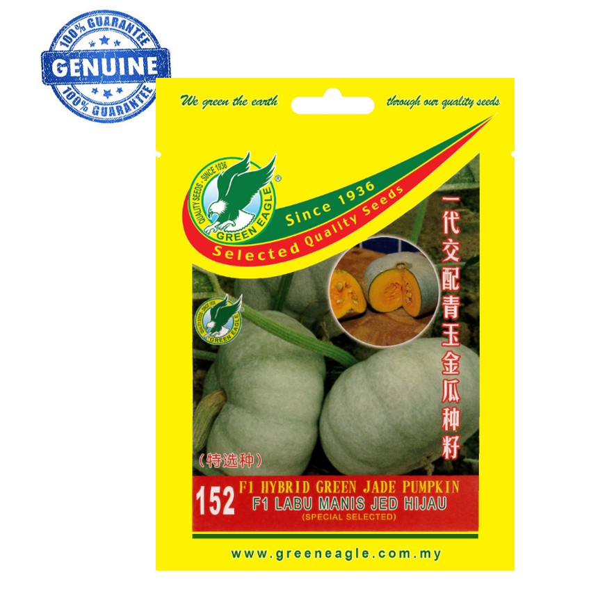 SEEDS / BENIH 152 F1 HYBRID GREEN JADE PUMPKIN 152 LABU MANIS JED HIJAU ...