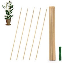 Buluh Pancang / BAMBOO PLANTS STAKES / support plants / gardening ...