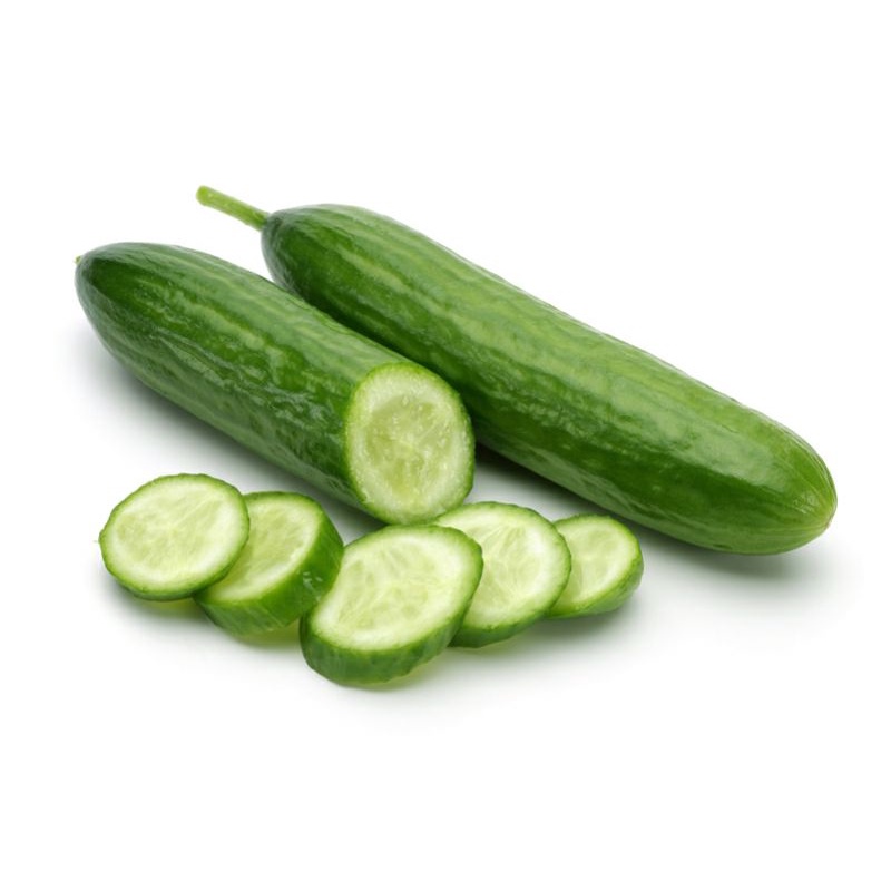 cucumber seeds 15pcs (RS2665) | Shopee Malaysia