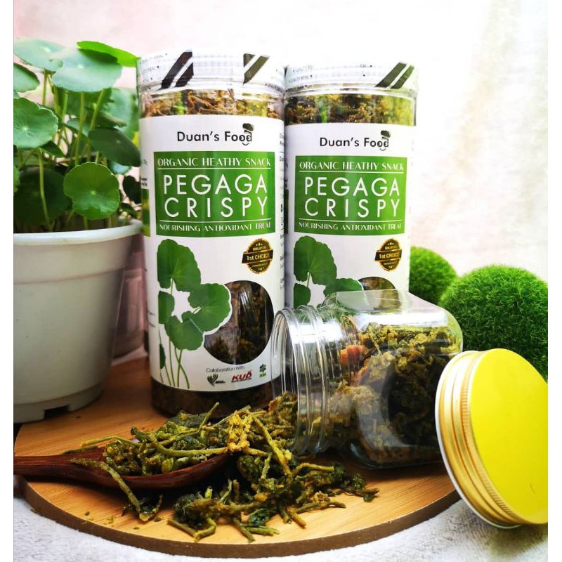 PEGAGA CRISPY BY DUAN'S FOOD | Shopee Malaysia