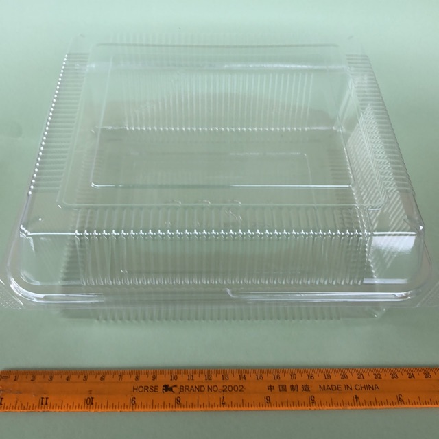 OPS L200 Plastic Container (50pcs+/-) | Shopee Malaysia