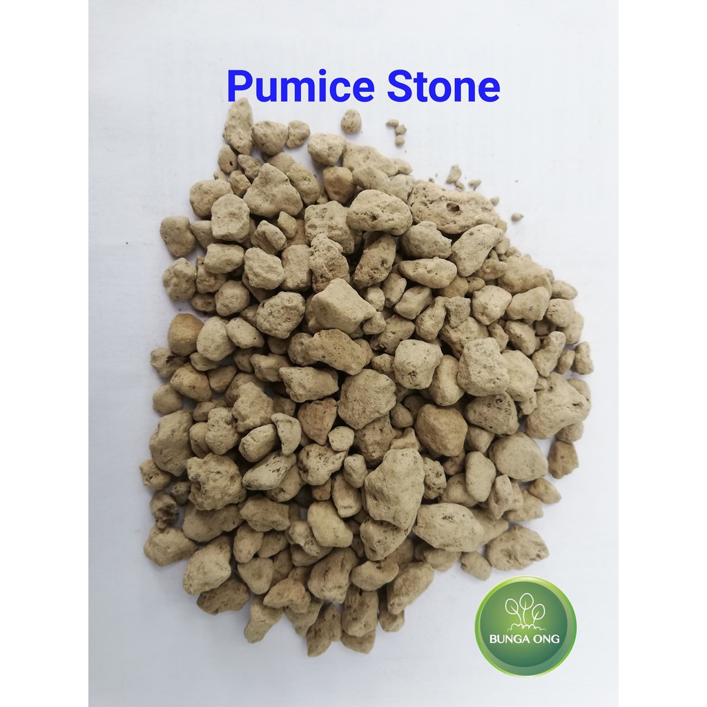 Pumice stone / Batu apung / 浮石 | Shopee Malaysia