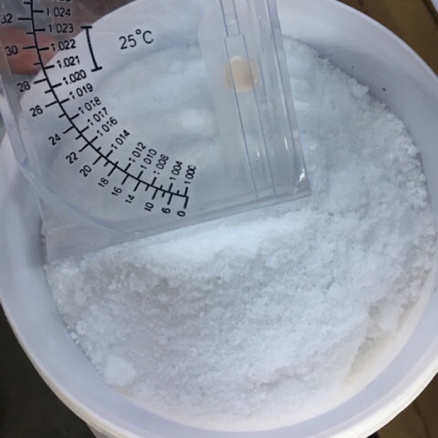 Salt saltwater aquarium Untuk ikan air masin garam 海盐养殖海水 Aquarium ...