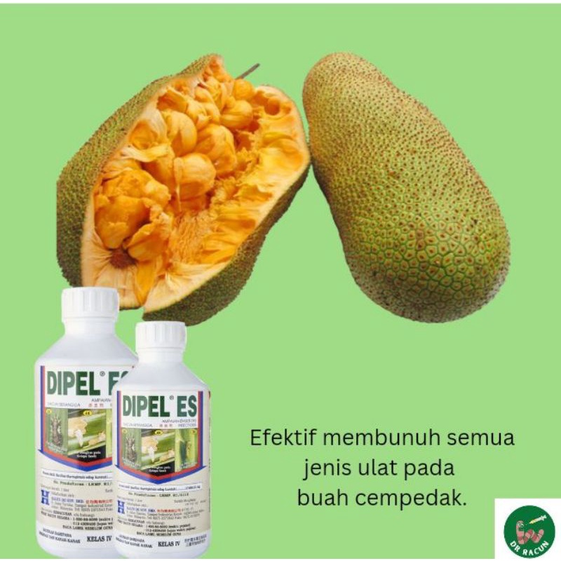 DIPEL ES Eliminate Insect, Worms, and Bugs for Jackfruit Tree Racun ...