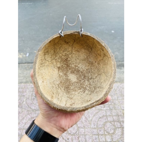 Dried coconut shells for Birds, Chickens to eat and drink water ...