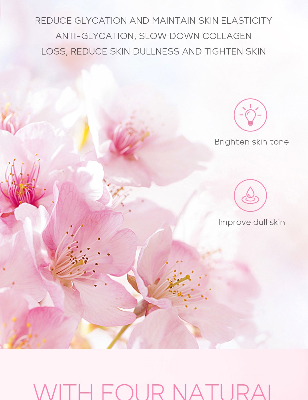 LAIKOU FENYI Japan Cherry Blossom Cream Fade Fine Lines Freckle ...