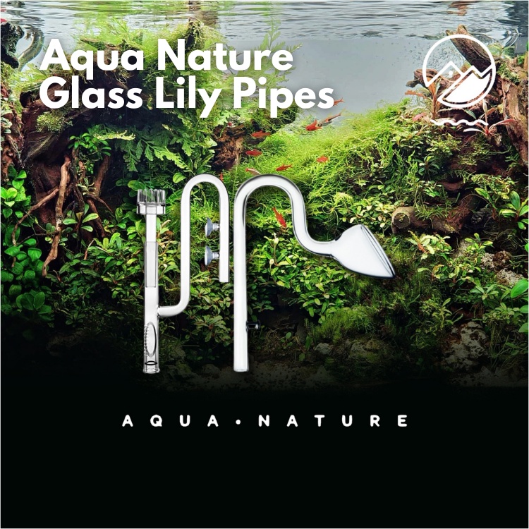Aqua Nature Glass Lily Pipes (Inflow & Outflow) (Poppy/Spin/Surface ...