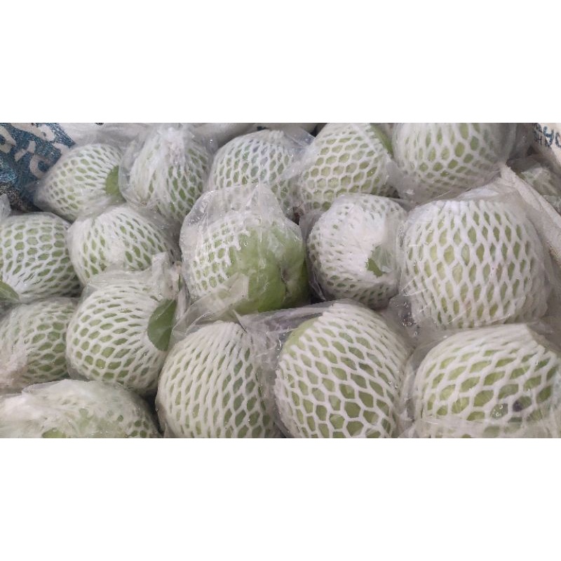 JAMBU BATU LOHAN (GUAVA )/ pc | Shopee Malaysia