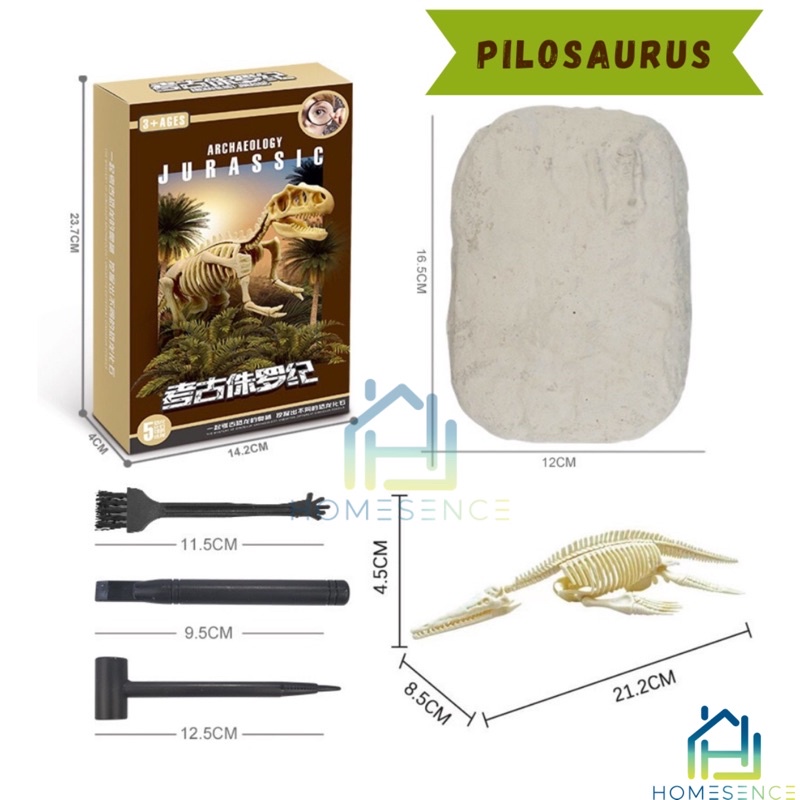 Dinosaur Fossil Digging Kit Children Science Excavation Tool Archeology ...