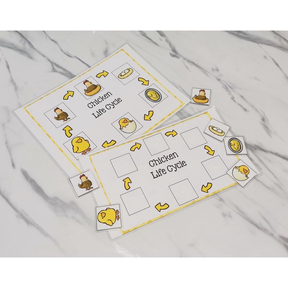 Chicken Life Cycle- Quiet Book Busy Book Montessori Ready Stock ...