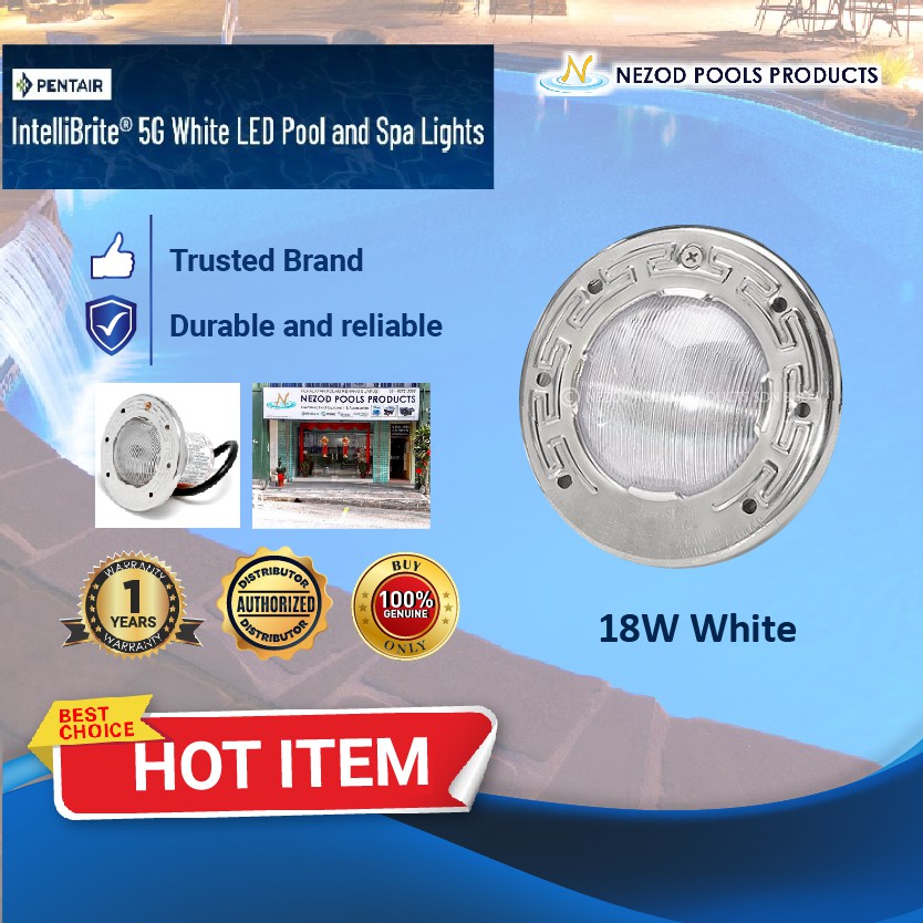 PENTAIR INTELLIBRITE 5G WHITE LED SPA LIGHT 18W/12V UNDERWATER LIGHT ...