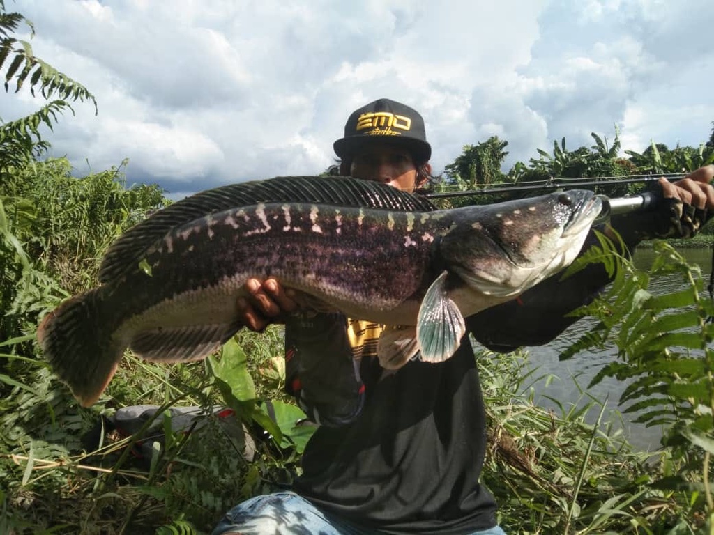 EXP EMO 8X 150m Casting Braided Fishing Line Ultra Sensitive Smooth ...